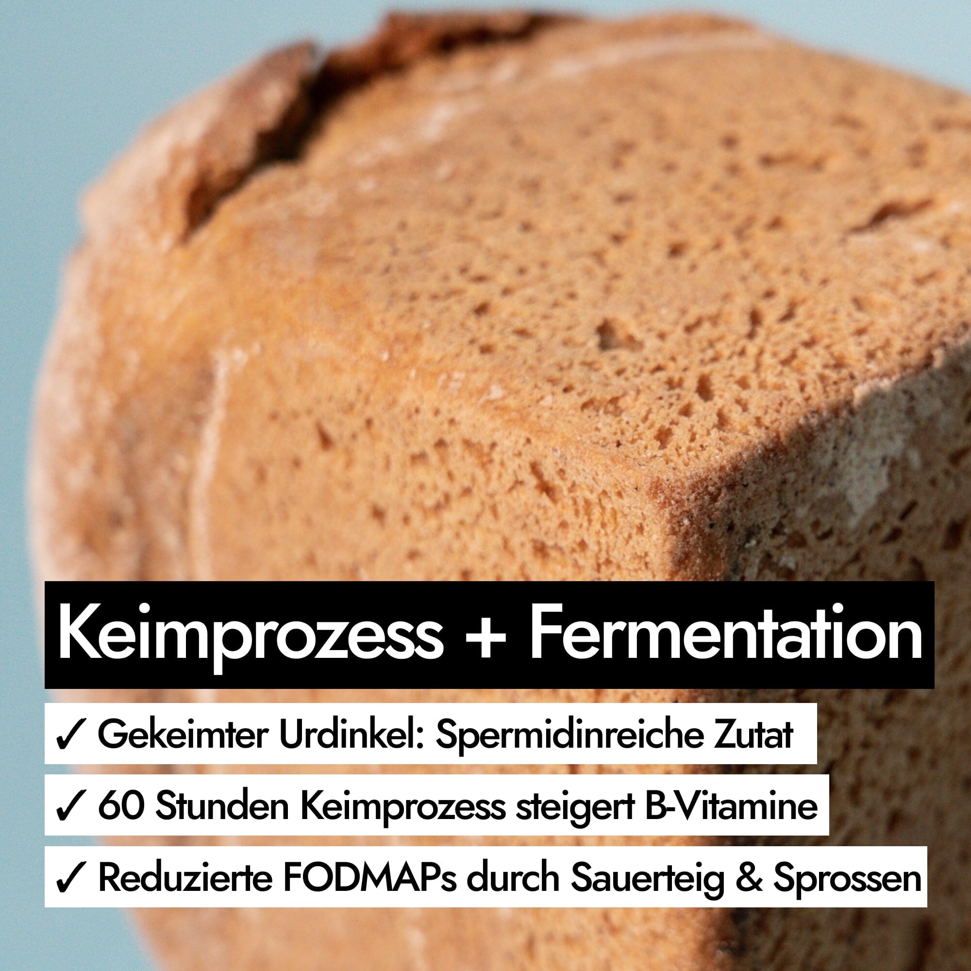 Was ist Essēner Brot? 🌱 Geschichte, Varianten & Rezept