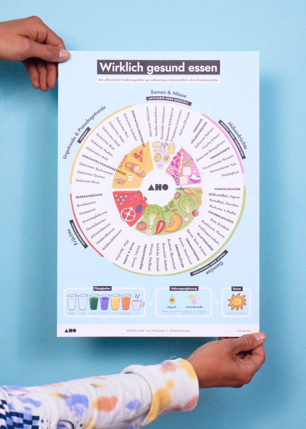 AHO Ernährungsteller ️ DIN A3 Poster zum Aufhängen
