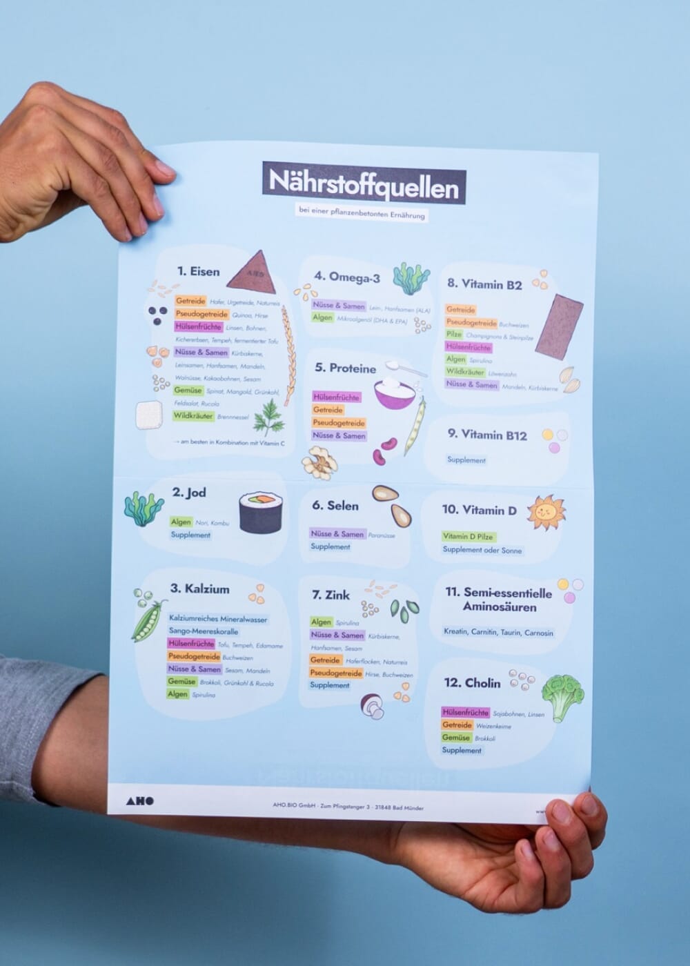 AHO Nährstoffquellen ️ DIN A3 Poster zum Aufhängen