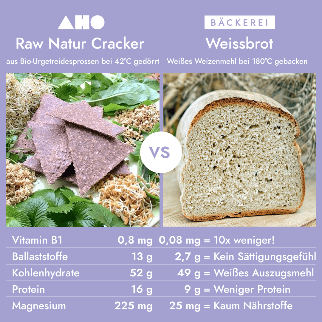 Was ist Essēner Brot? 🌱 Geschichte, Varianten & Rezept